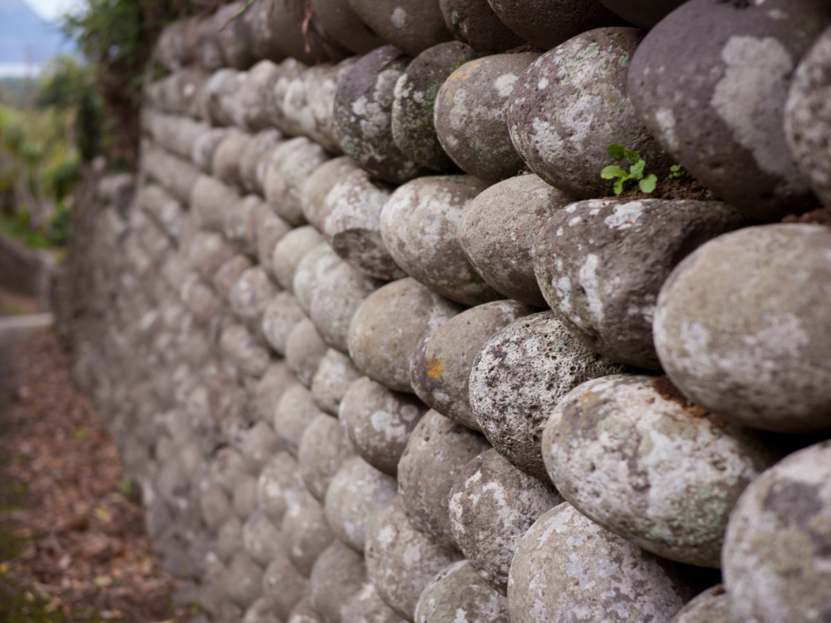 On the way, Miyashiro-san stops the car for a moment to show us some ...