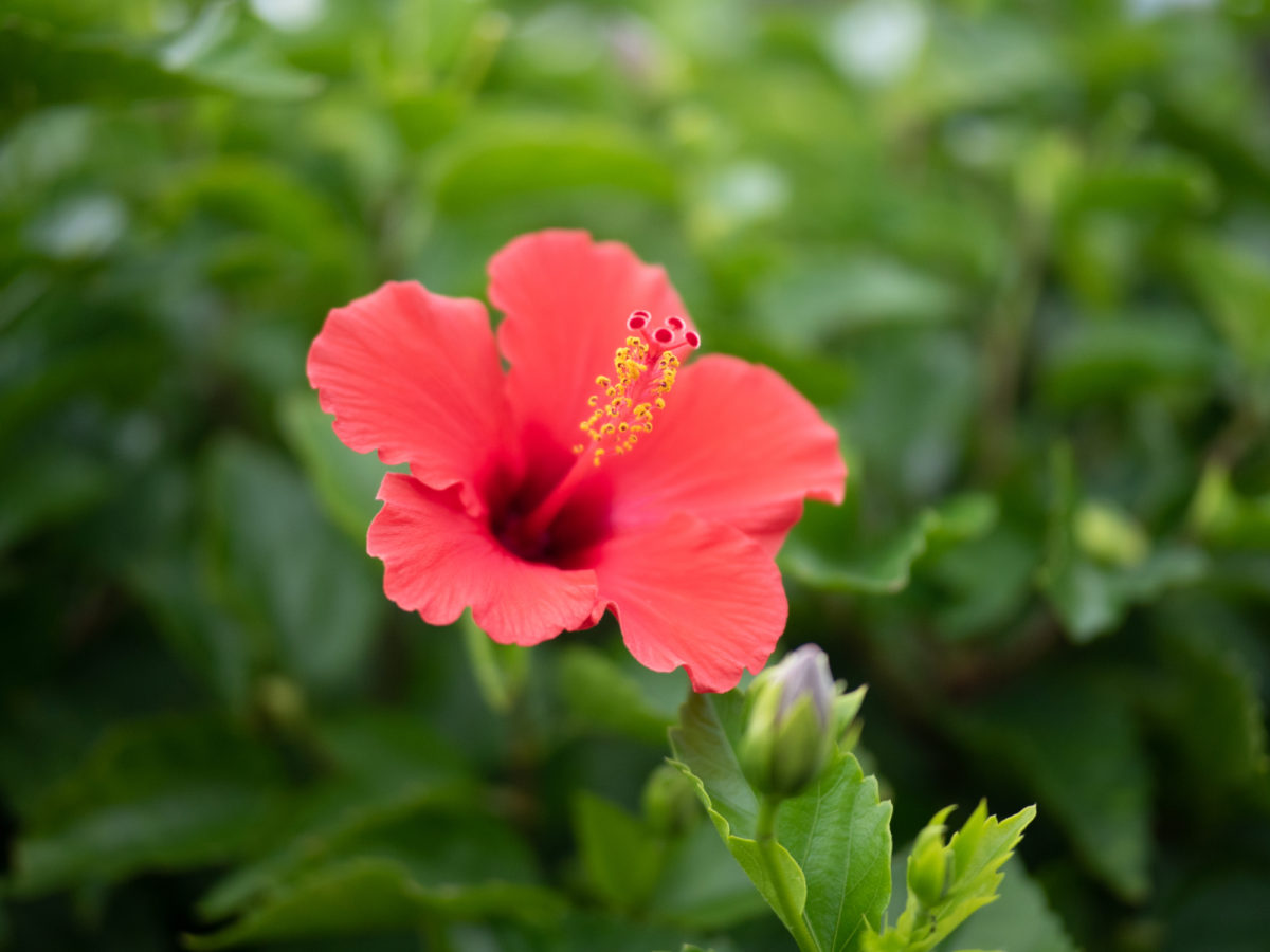 The roomy lobby leads to a hallway with an elevator, next to which you ...